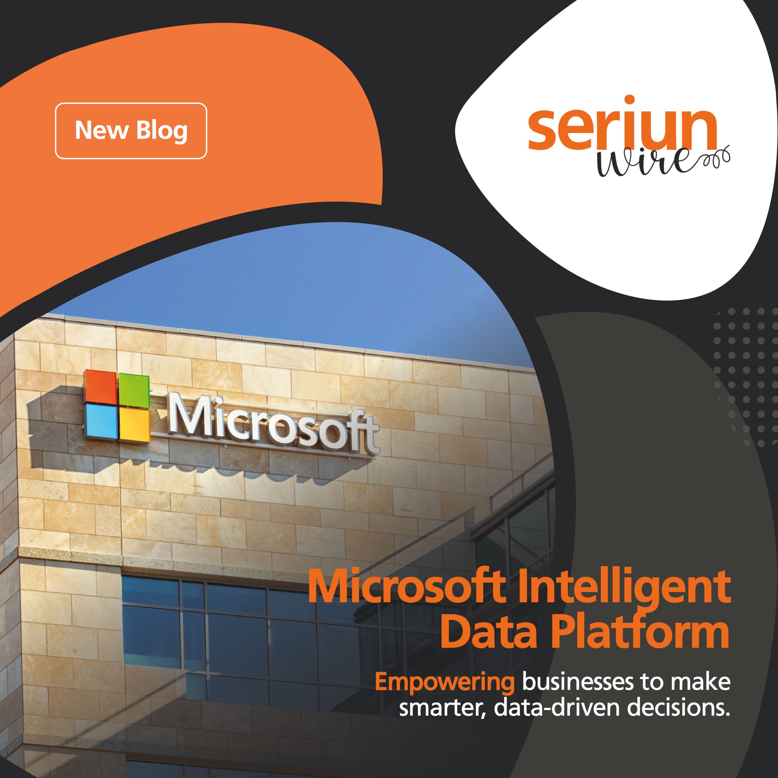 Microsoft Intelligent Data Platform - Seriun